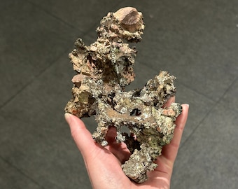 Obi Island Botryoidal Chalcedony With Native Copper Inclusions ...