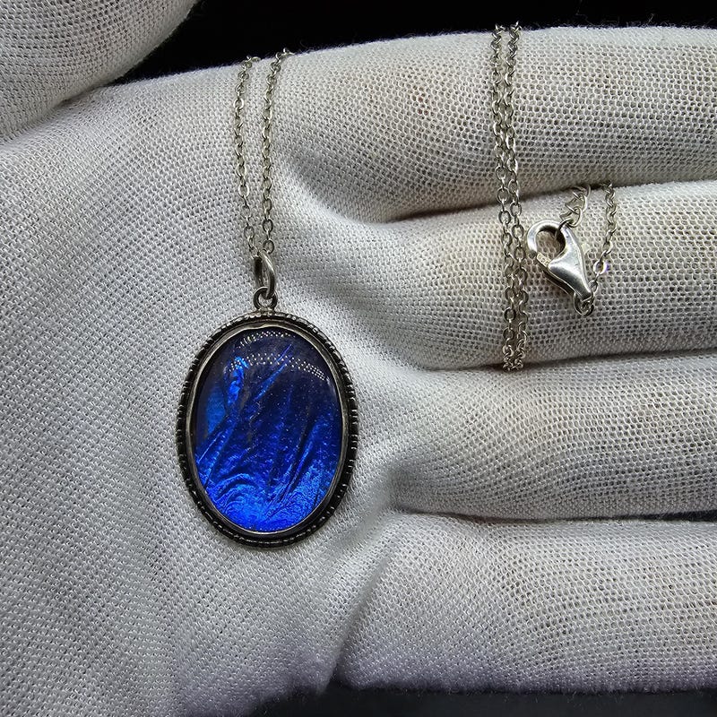 Thomas L Mott - Etsy