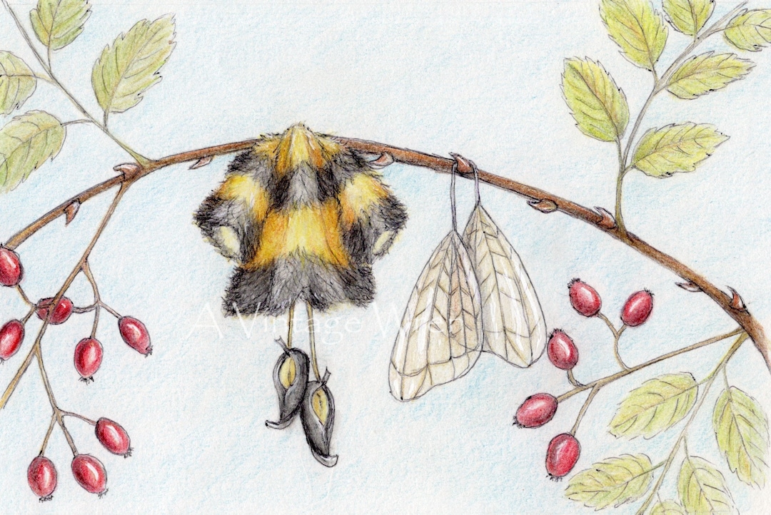 Bee Print With Double Mat / Honeybee Art / Bumblebee Painting / Fairy ...