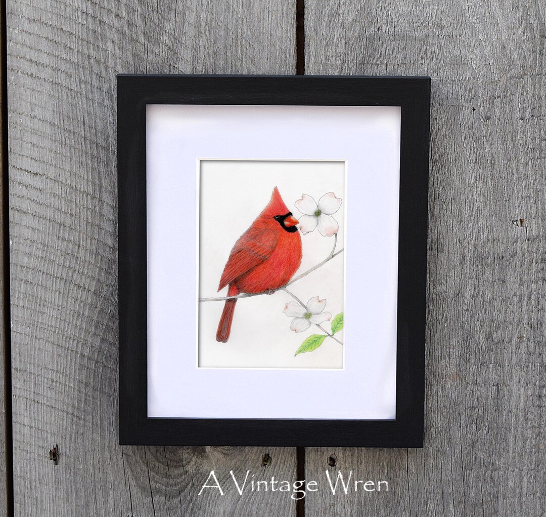 Framed Northern Cardinal Art Print / Original Art / Bird Painting ...