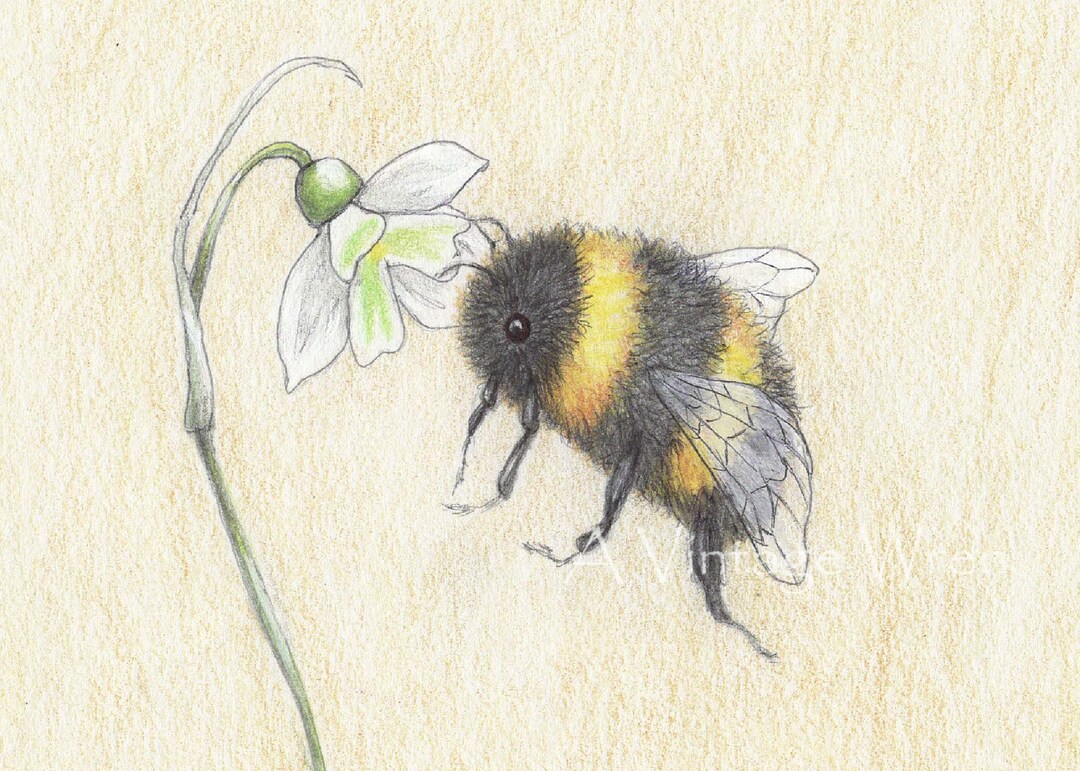 Bee Print With Double Mat / Honeybee Art / Bumblebee Painting ...