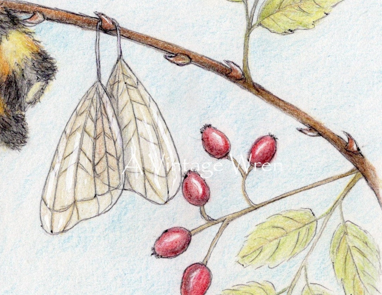 Bee Print With Double Mat/ Honeybee Art / Bumblebee Painting / | Etsy