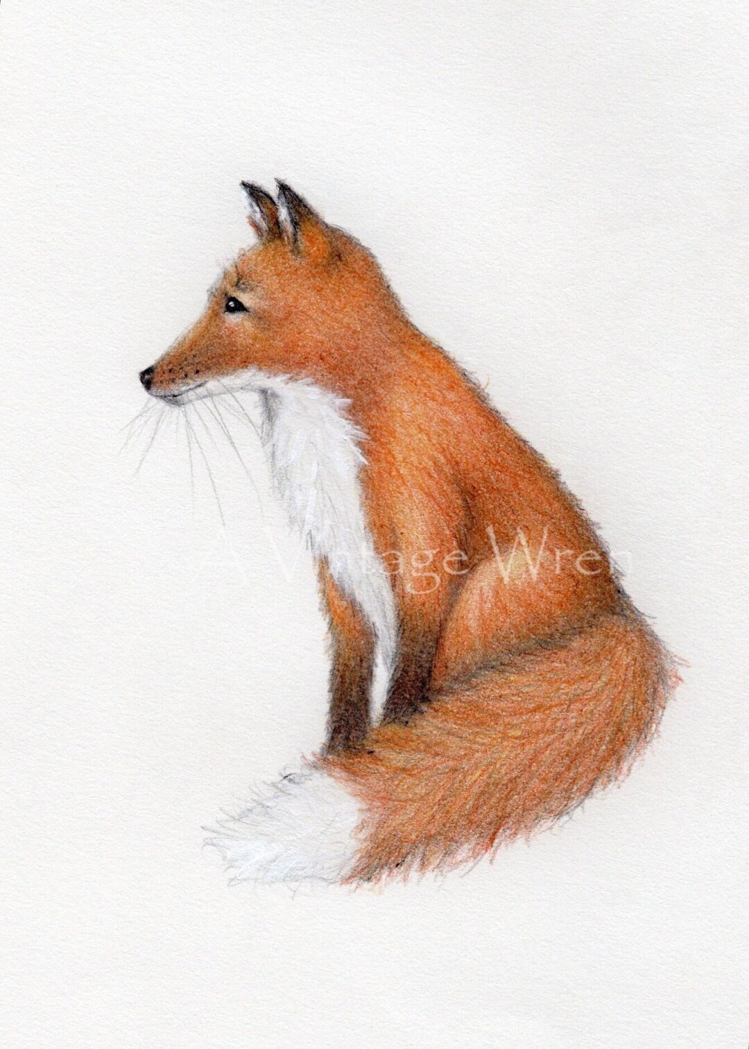 Red Fox Art Print With Double Mat / Fox Painting / Fox Illustration ...