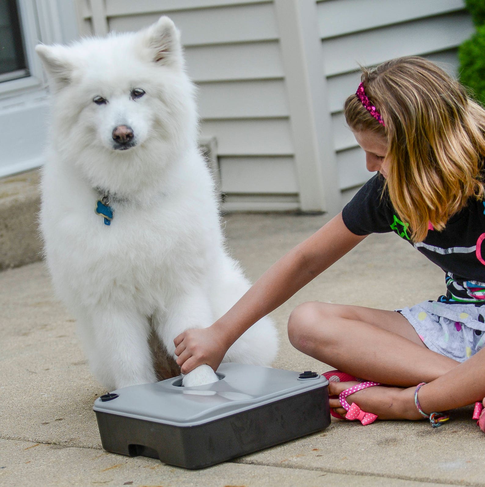 Paw Boss Paw Washer for Dogs From SKI Innovations - Etsy
