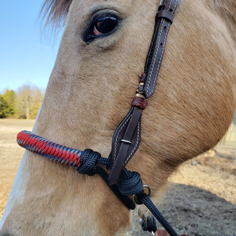 Indian Hackamore for Bitless Riding Indian Bosal | Etsy