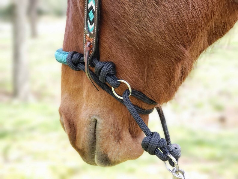 Indian Hackamore for Bitless Riding Indian Bosal | Etsy