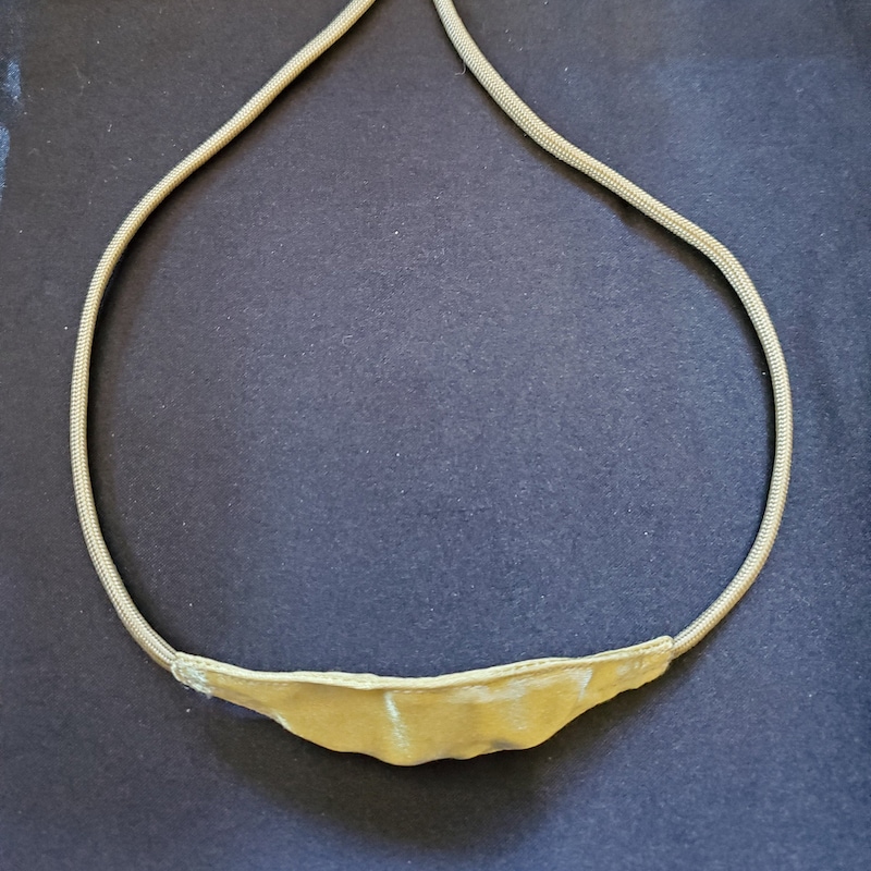 Dog Show Kindness Collar - Etsy