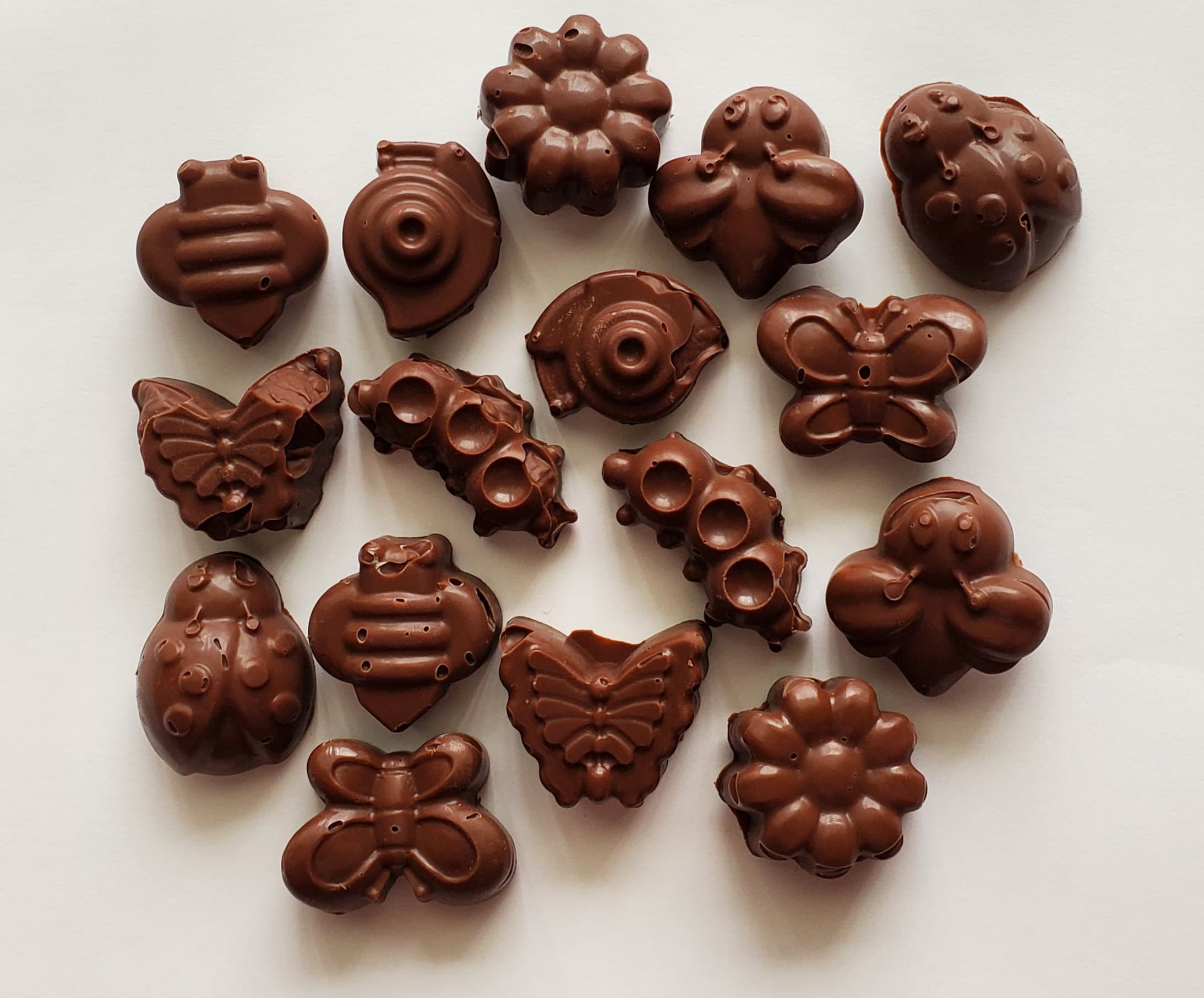 Insect Themed Chocolate Bar/Caramel Candy Set of 16 | Etsy