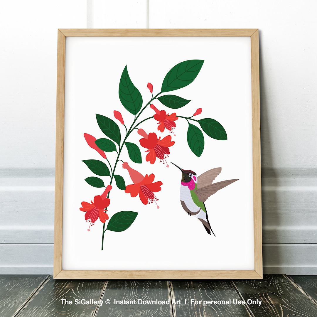 Anna's Hummingbird Art Print, Bird Poster (digital Download) - Etsy