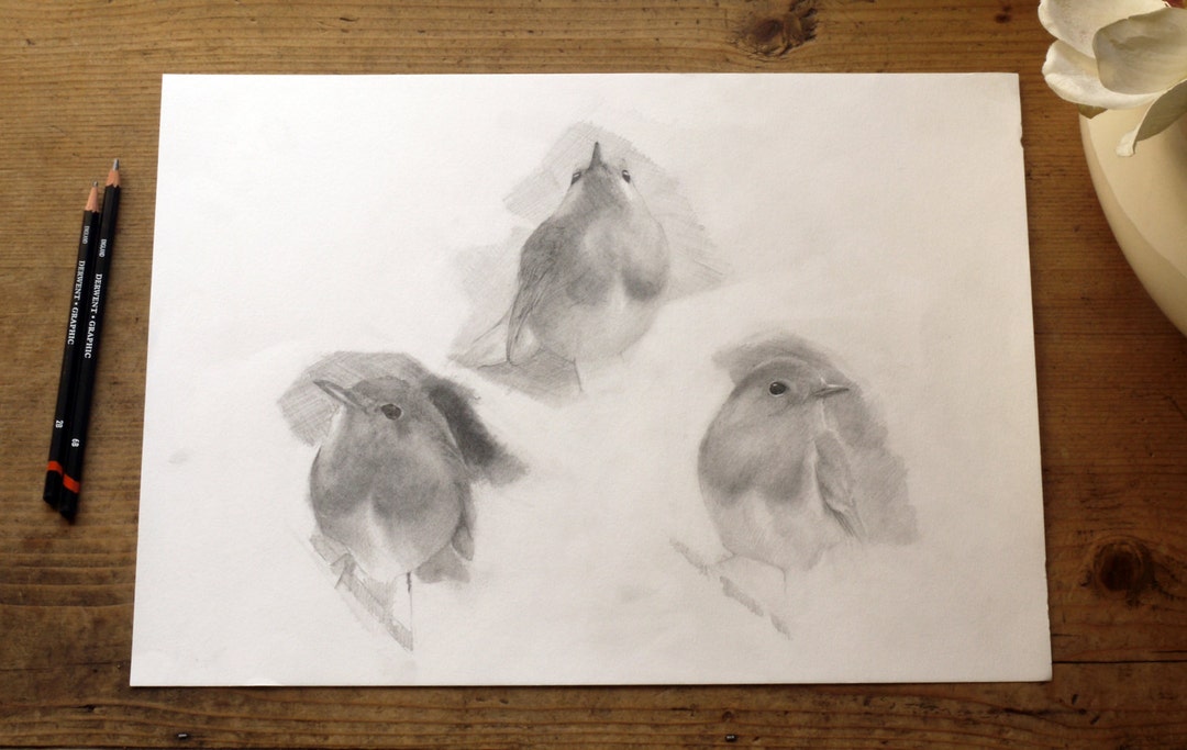 Original Pencil Drawing Entitled 'robins' A British Wildlife Drawing by ...
