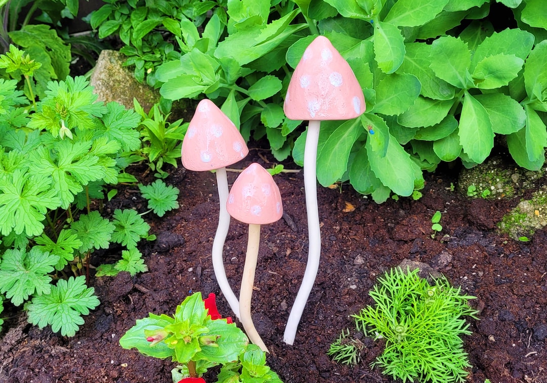 Elegant Pink Spotty Glazed Standing Mushroom Toadstool Winter - Etsy