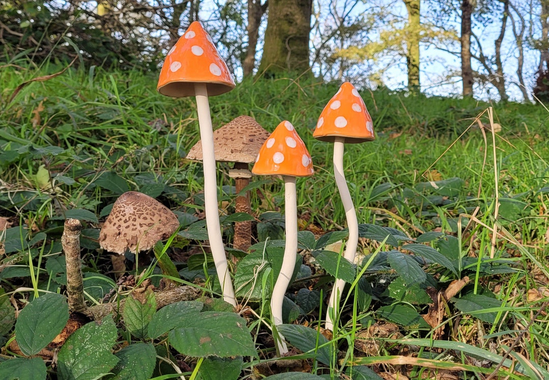 Elegant Orange Glazed Spotty Ceramic Mushroom Toadstool Winter Garden Colour or Indoor Ornament ...