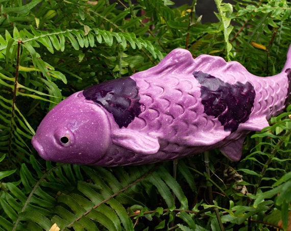 Real Purple Fish