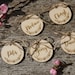 Custom Engraved Round Tagspersonalized Wooden Tagswood - Etsy