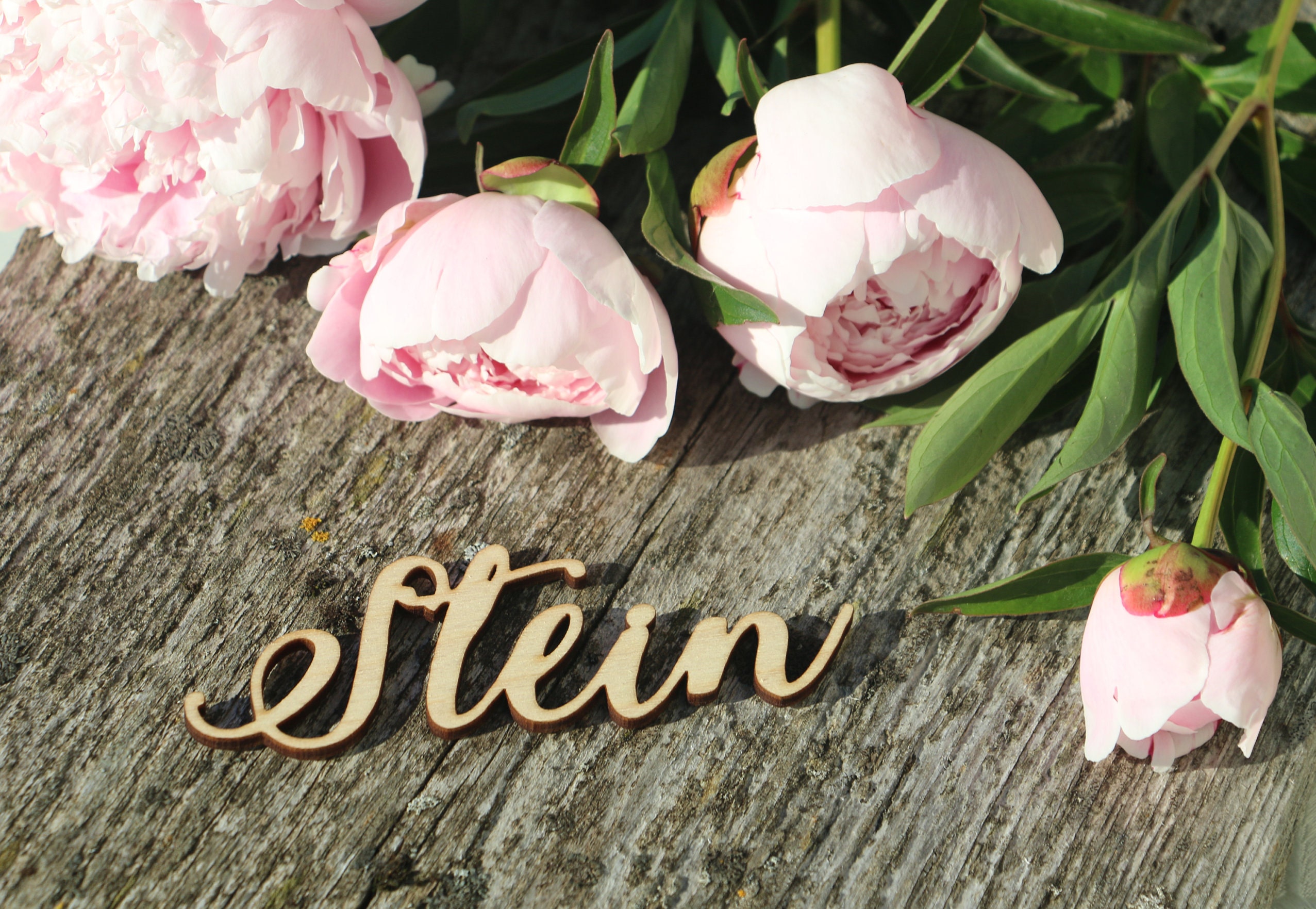 Laser Cut Wood Names Custom Laser Cut Name Signs Wedding Place Cards ...