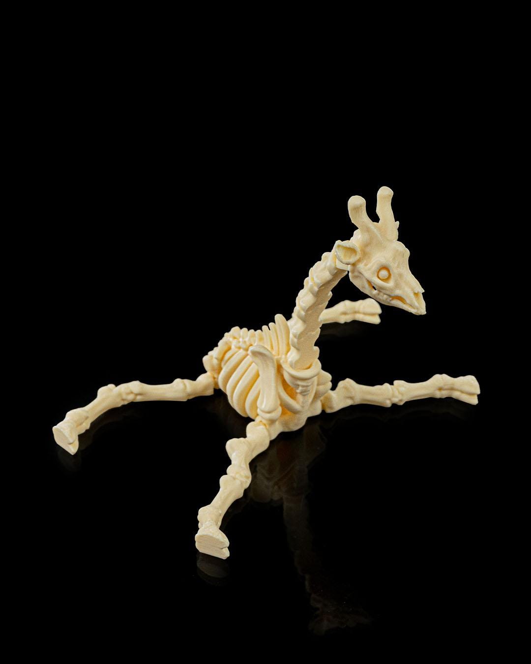 Giraffe - Flexible Bone Model - A Fun Safari Themed Gift - Pretend Play ...
