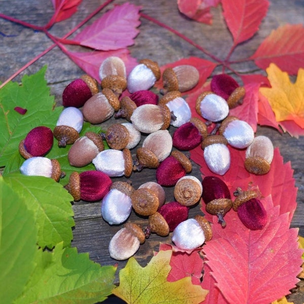 The Velvet Acorn - Etsy