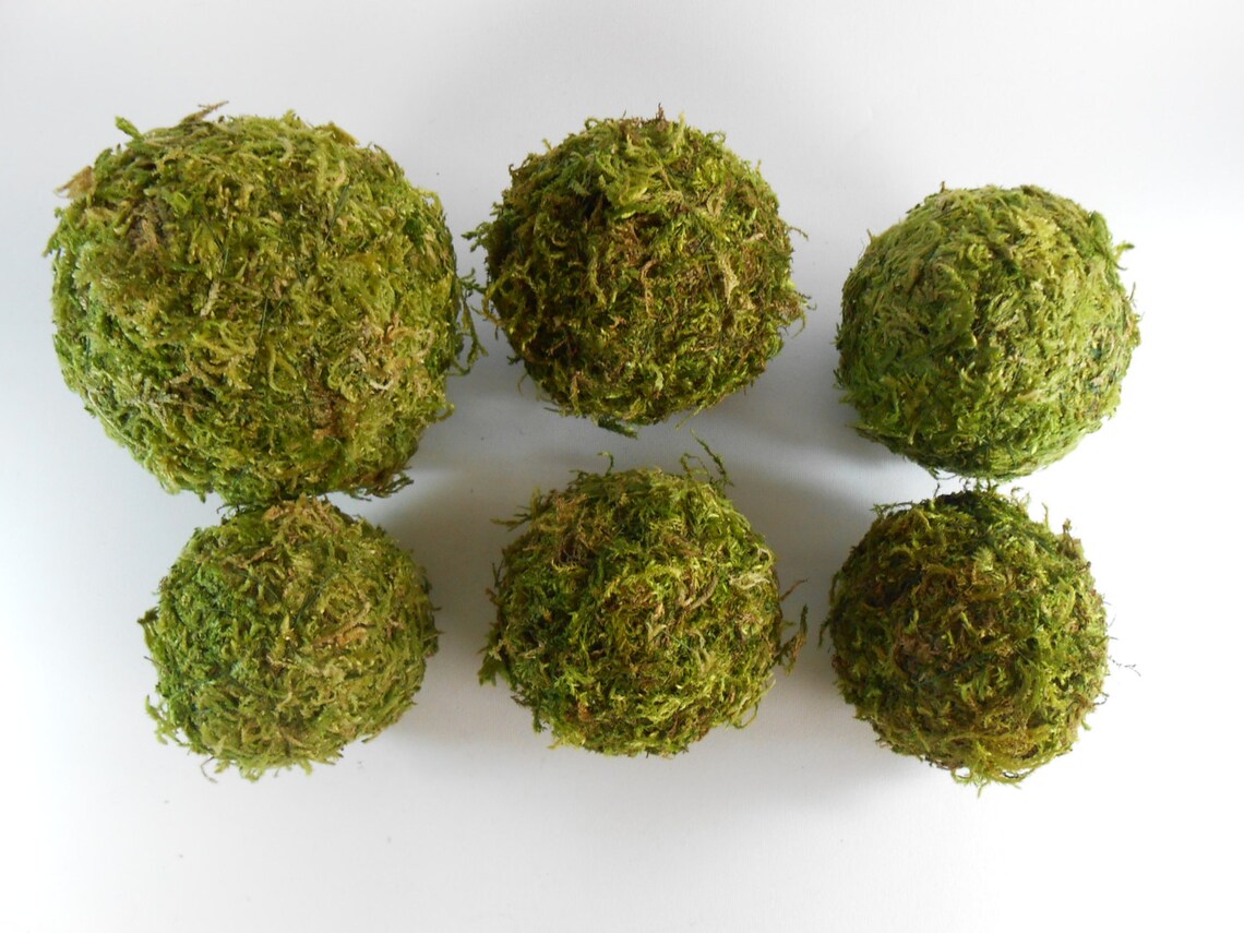 Moss Balls Set of 6 Rustic Decor Moss Covered Balls | Etsy
