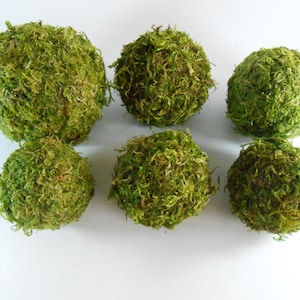 Moss Balls Set of 6 Rustic Decor Moss Covered Balls | Etsy