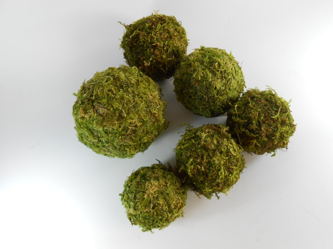 Moss Balls Set of 6 Rustic Decor Moss Covered Balls | Etsy