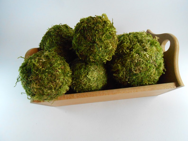 Moss Balls Set of 6 Rustic Decor Moss Covered Balls | Etsy