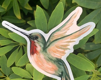 Hummingbird Vinyl Decal - Etsy