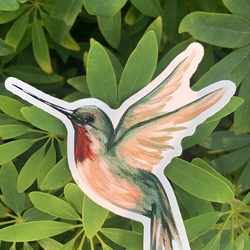 Hummingbird Decal Vinyl Car Decal Window Decal Laptop - Etsy