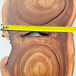 1 Extra Large Solid Elm Wood Slice 22 Inch Elm Slices Elm Elm Circles ...