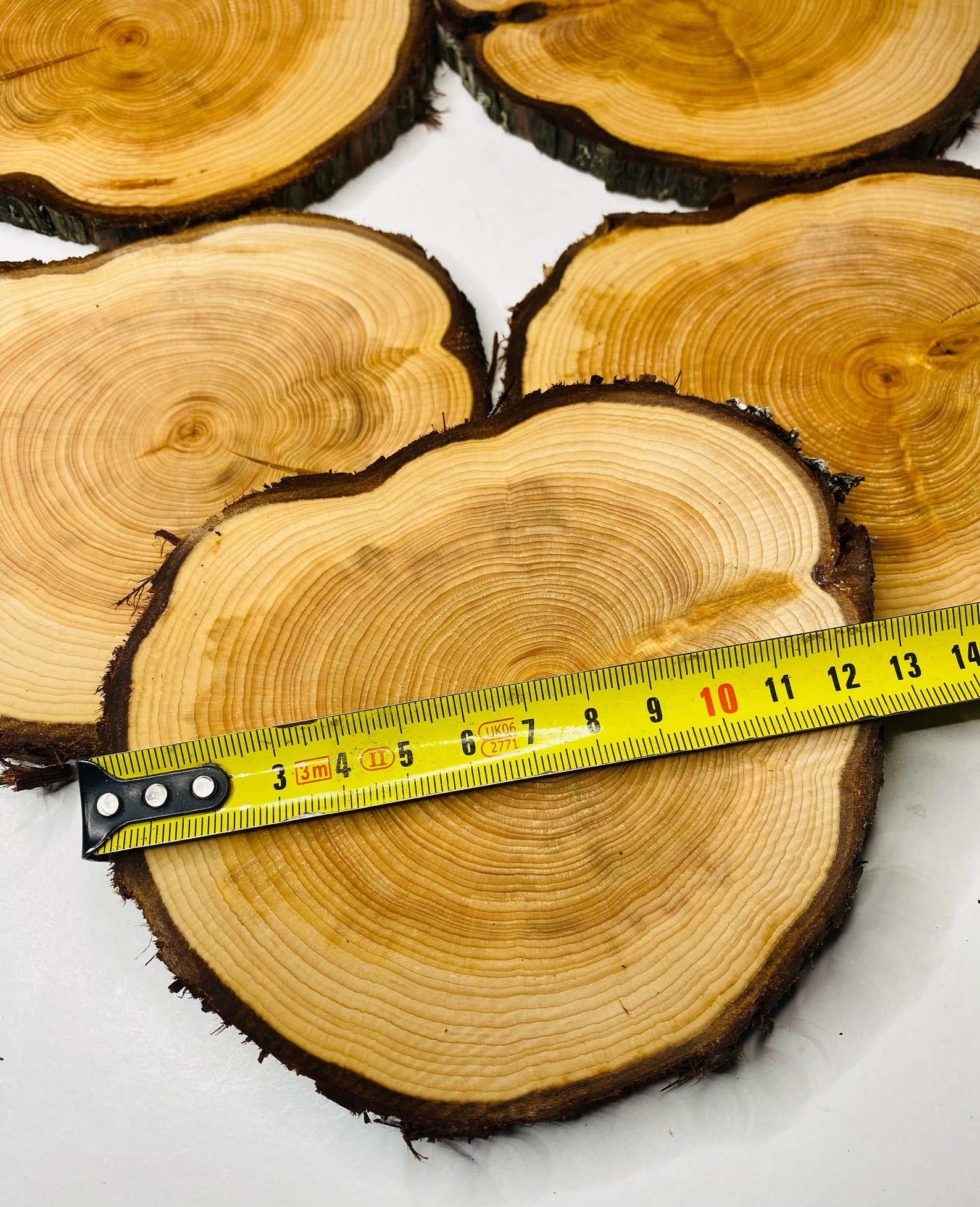 5 Large 5 Inch Juniper Tree Slices Large Wooden Slices Rustic Wood ...