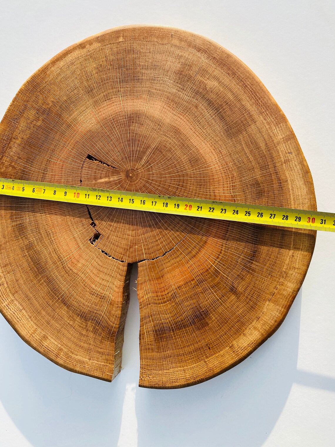 1 Large Solid Oak Wood Slice 13 Inch Oak Slices Oak Oak - Etsy