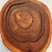 1 Solid Elm Wood Slice 10 Inch in Diameter Elm Slices Elm Elm Circles ...