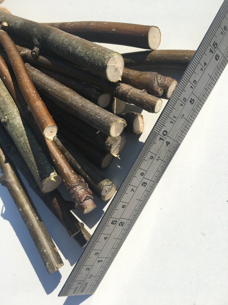 20 PCS Rowan sticks Rowan branches Rowan sticks Rowan Tree | Etsy