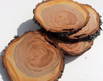Large wood slices | Etsy