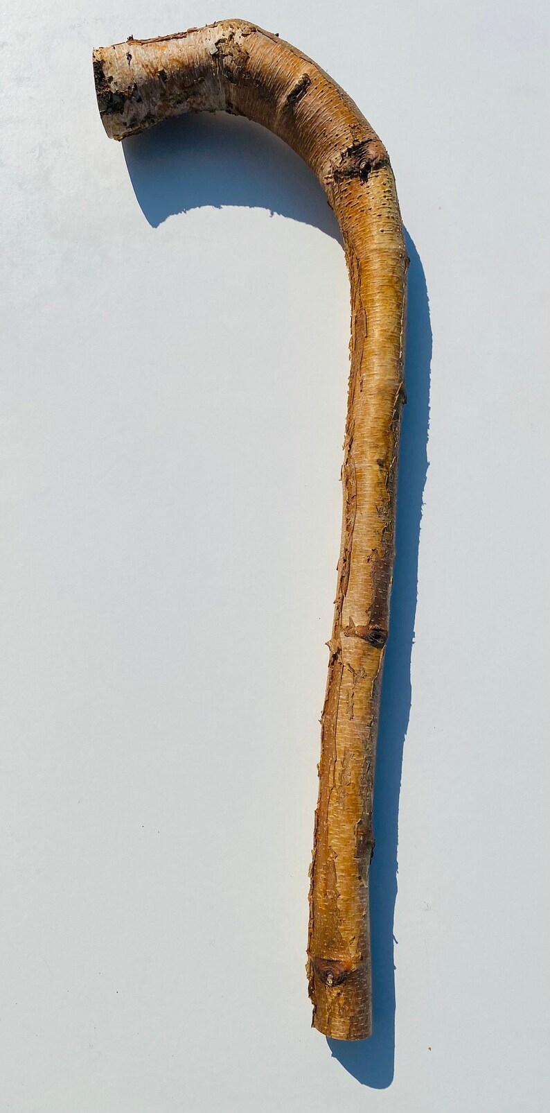 DIY Birch Walking Stick Birch Sticks Rowan Branches Birch - Etsy