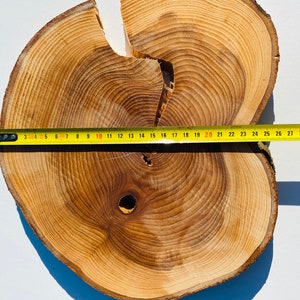 10 Inch - 8 Inch Large Rowan Wood Slice | Wooden Slices | Rustic Wood ...