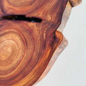 Extra Large Solid Elm Wood Slice 22 Inch Elm Slices Elm Elm Circles ...