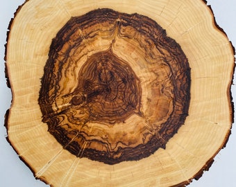 Large Wood Slices - Etsy