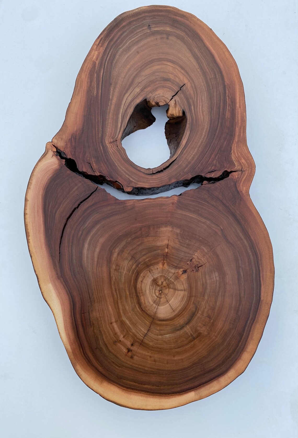 1 Extra Large Solid Elm Wood Slice 21 Inch Elm Slices Elm Elm - Etsy