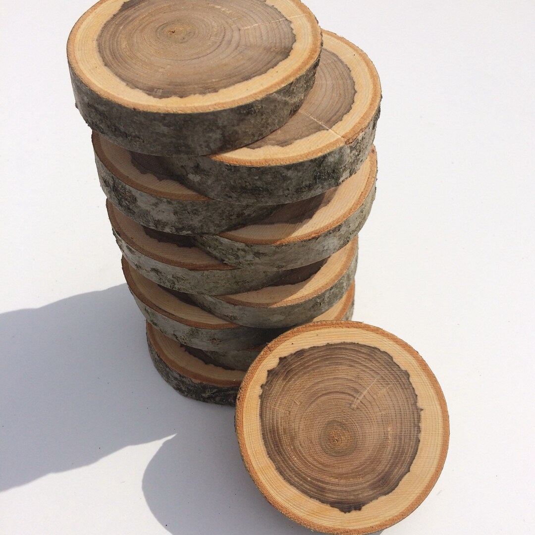 10 PCS | European Ash Tree | Wooden Slices | Rustic Wood Slices for DIY ...