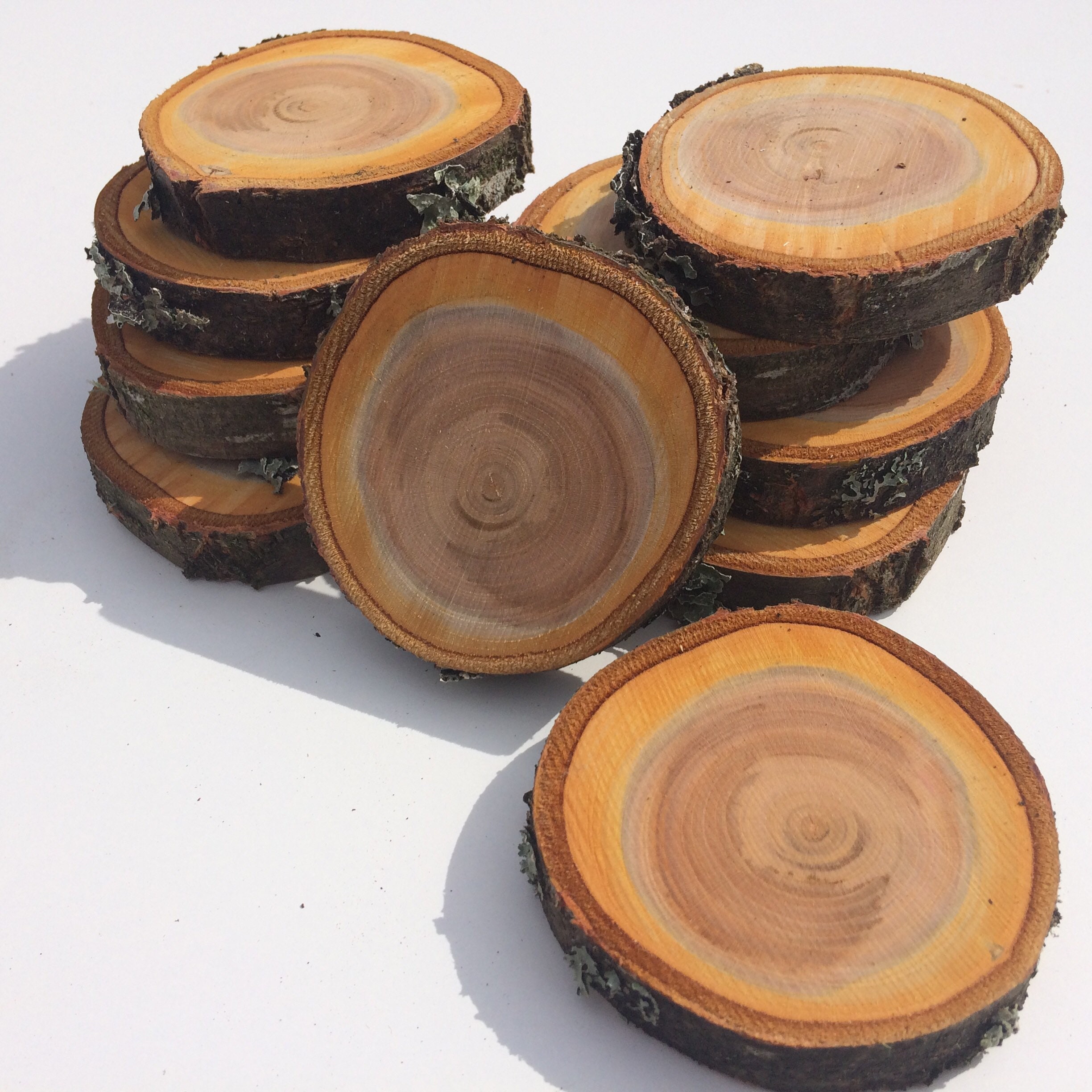 10 PCS Wooden Circles Wooden Slices Rustic Wood Slices | Etsy