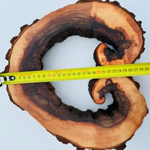 Aspen Wood Slice Heart Wood Slice Wood Slices Wood Slab Slice Heart ...