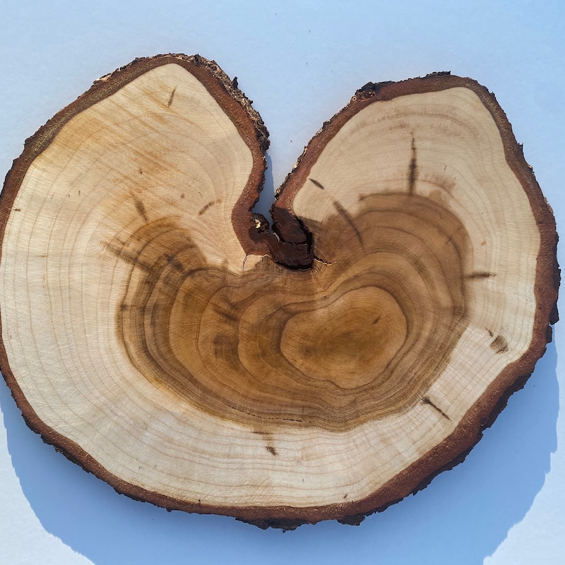 Aspen Wood - Etsy