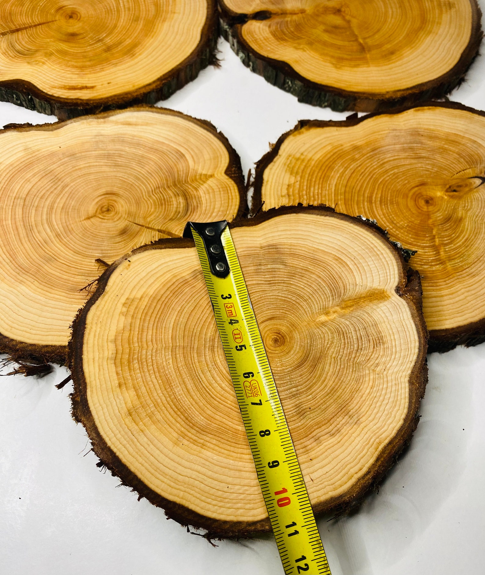 5 Large 5 Inch Juniper Tree Slices | Large Wooden Slices | Rustic Wood ...