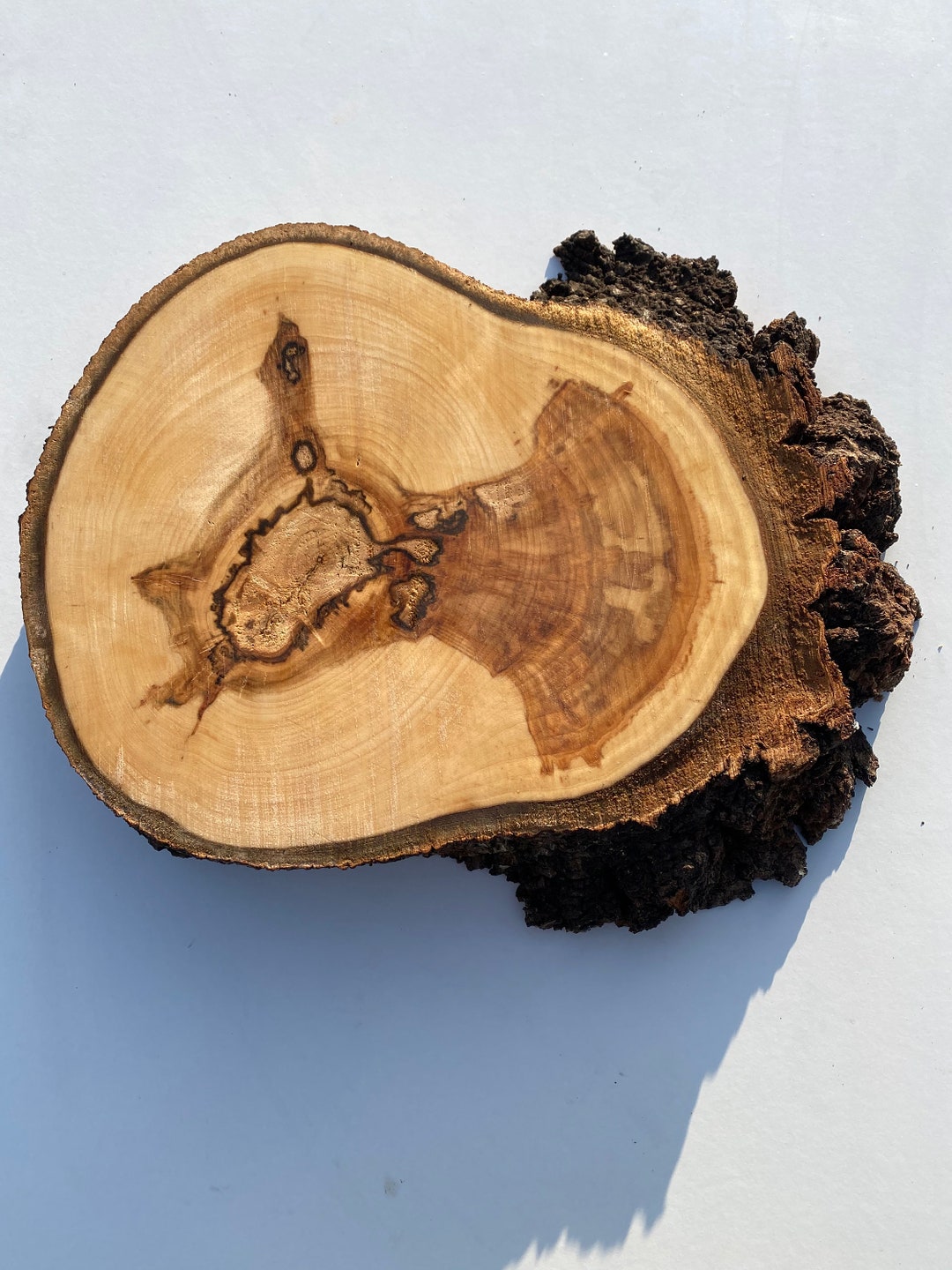 Irregular 14'' Aspen Wood Slices | Wooden Slices Aspen Slices | Wood ...