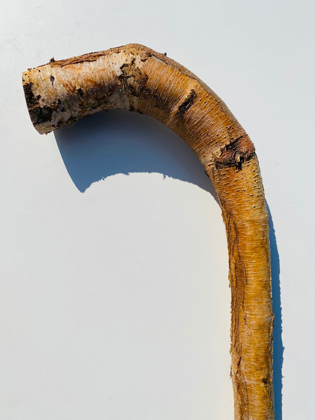 DIY Birch Walking Stick Birch Sticks Rowan Branches Birch Sticks Birch ...