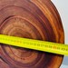 Extra Large Solid Elm Wood Slice 22 Inch Elm Slices Elm Elm Circles ...
