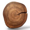 1 Large Solid Elm Wood Slice 13 Inch Elm Slices Elm Elm Circles Wooden ...