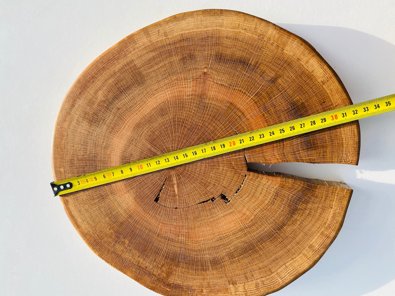 1 Large Solid Oak Wood Slice 13 Inch Oak Slices Oak Oak - Etsy