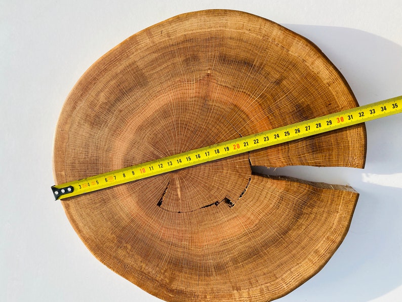1 Large Solid Oak Wood Slice 13 Inch Oak Slices Oak Oak - Etsy