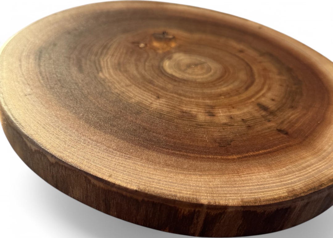 Solid Elm Wood Slice 10 Inch in Diameter Elm Slices Elm Elm Circles ...